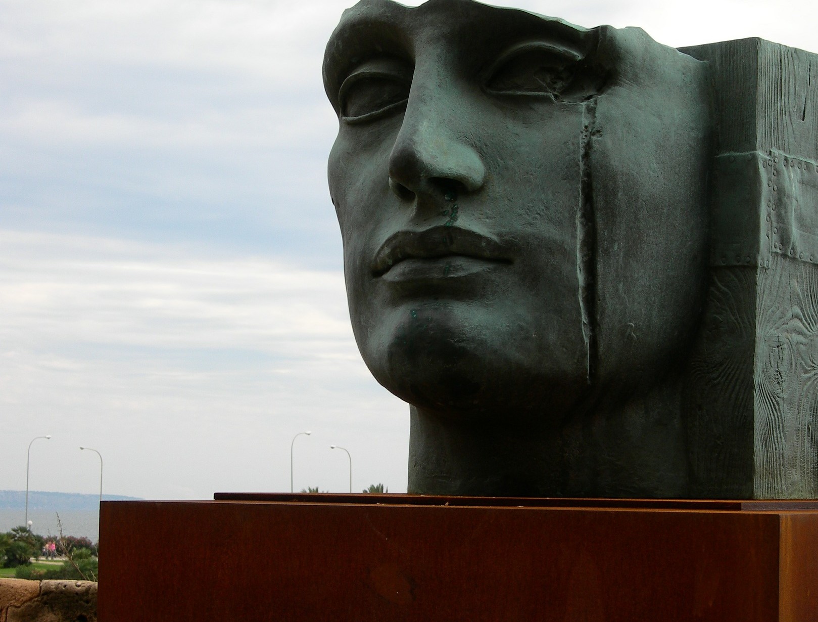 Accelerated Wound Healing - Juventide® - Video shows the first 24h